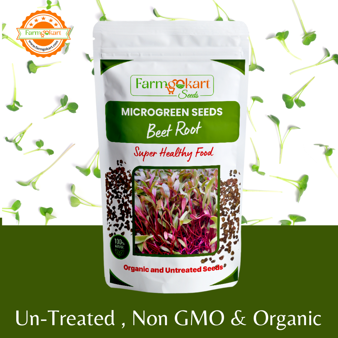 Beet Root Microgreen Grower Pack – Farmgokart