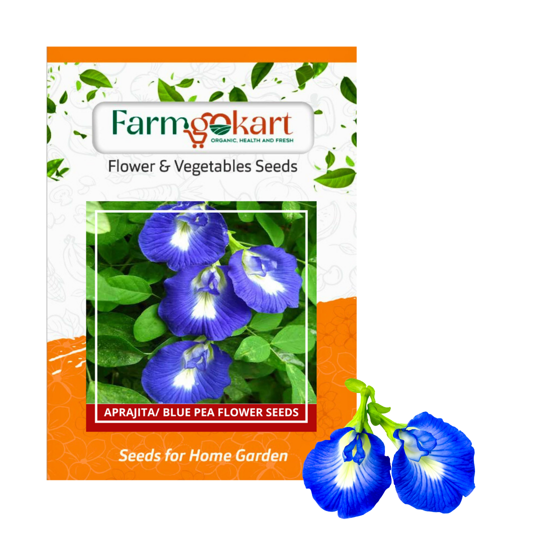 Aparajita / Blue Pea Flower - Pack of 20 Seeds – Farmgokart
