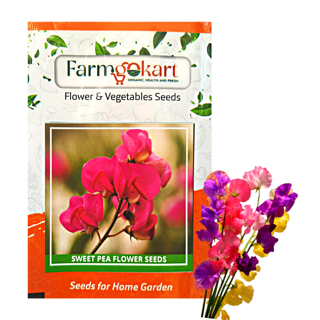 Sweet Pea - Grower Seeds Pack - 15 Gms – Farmgokart
