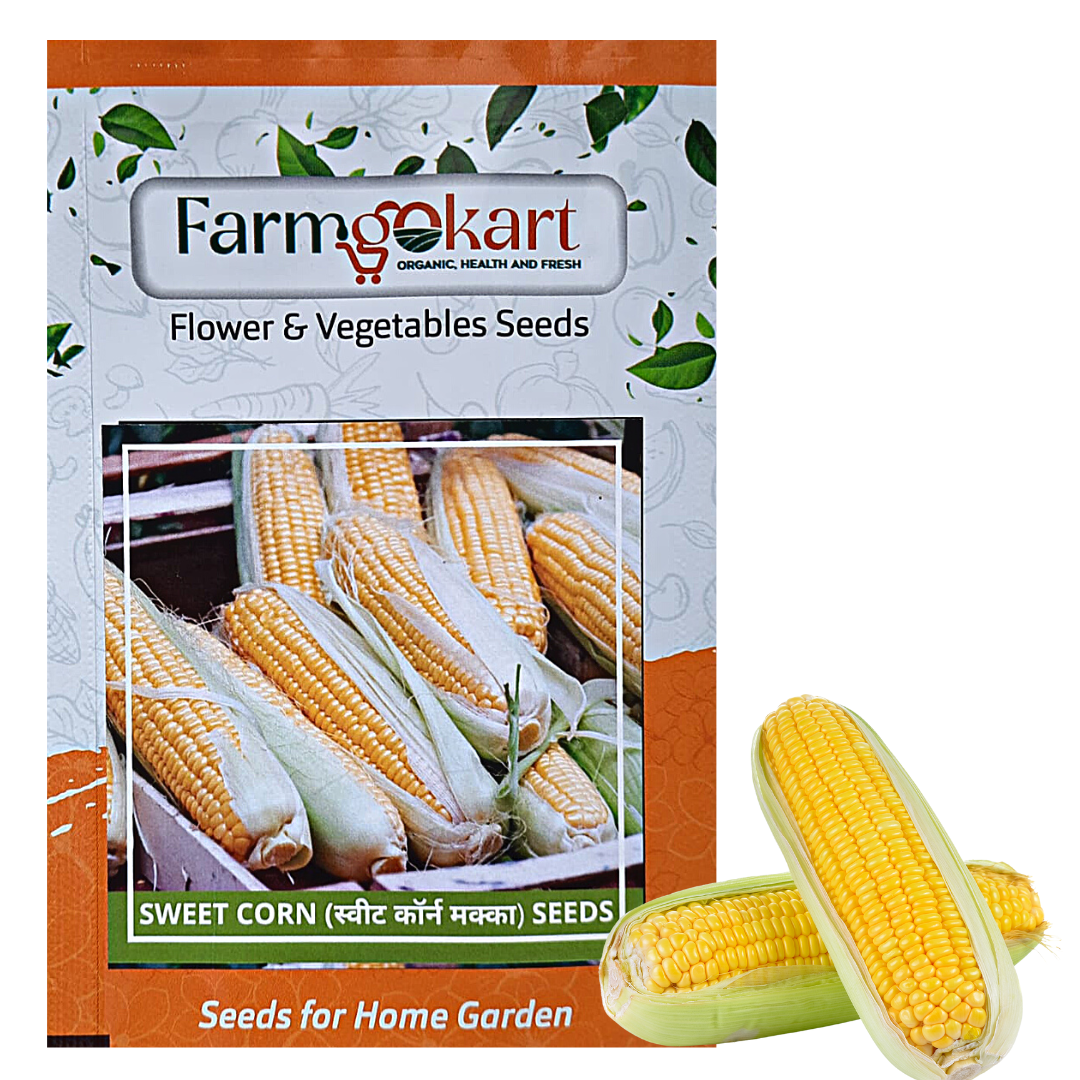 SWEET CORN F1-Hybrid - Farming Seeds – Farmgokart