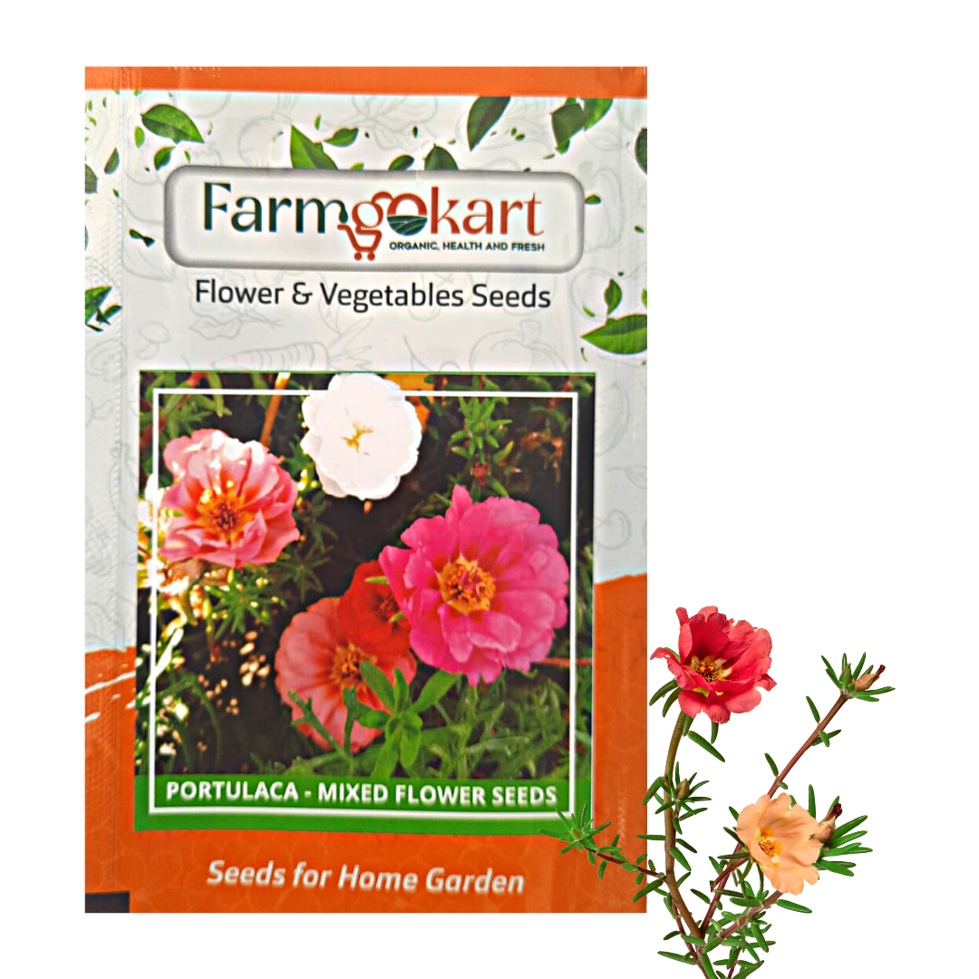 Portulaca Grower Seeds Pack - 10000 Seeds – Farmgokart