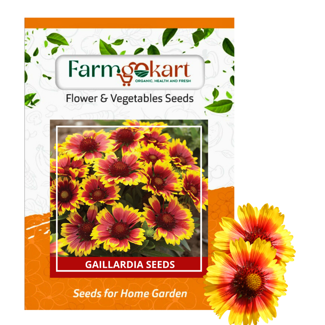 Gaillardia - Aristata Grower Seeds Pack - 10 Gms – Farmgokart