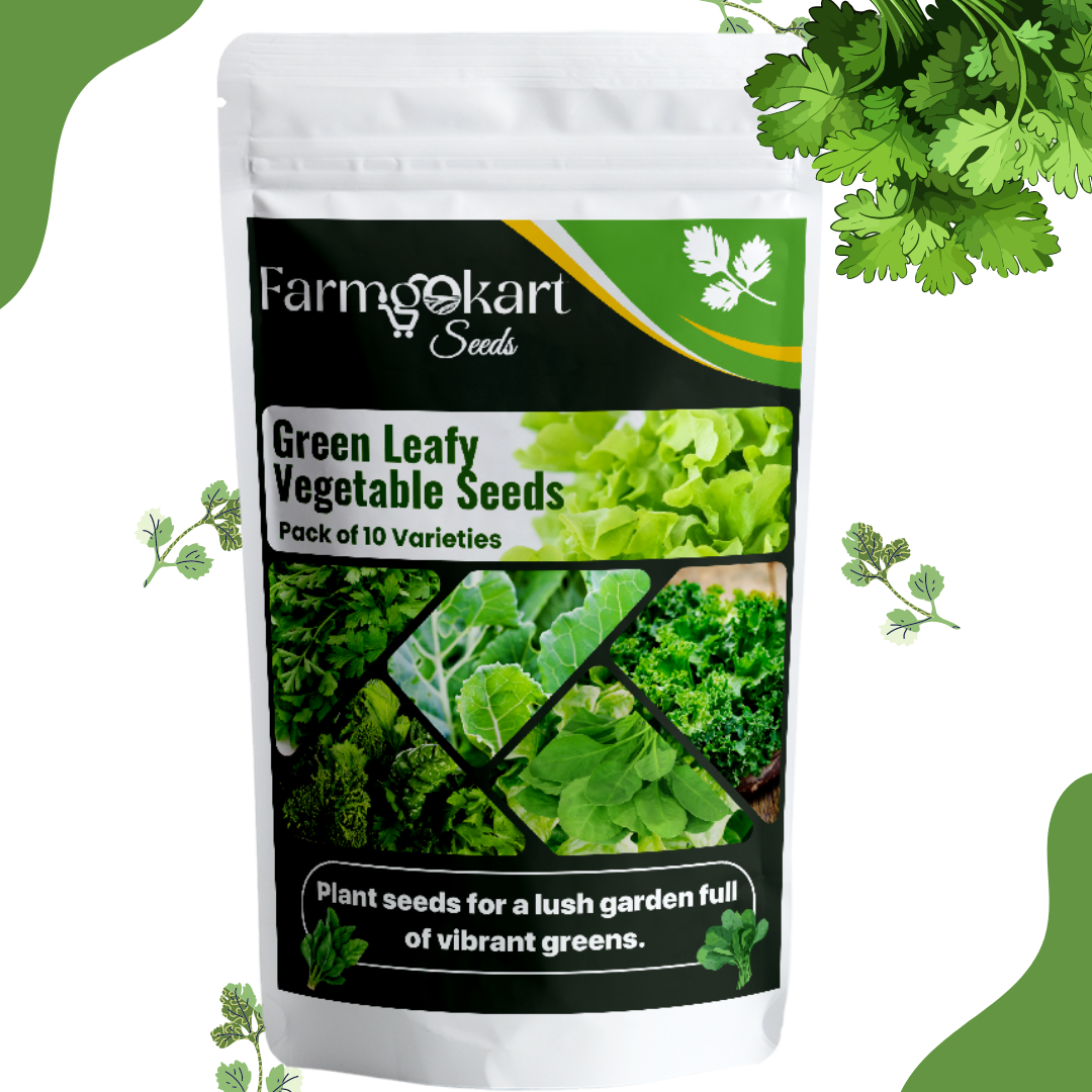 Pack of 10-variety Green Leafy Vegetable Seeds - for Home and Terrace ...