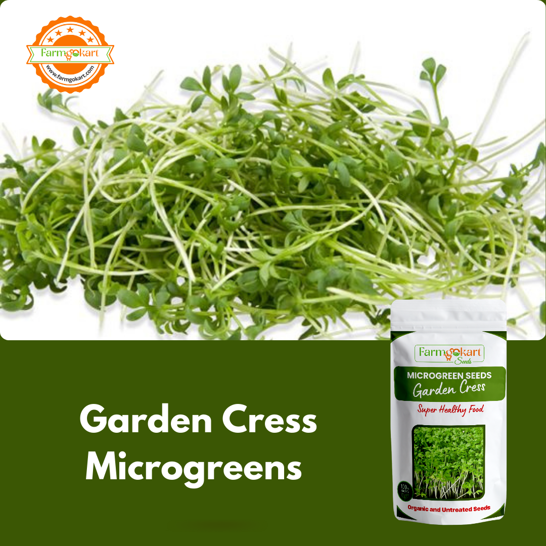 Garden Cress Microgreen - 25 Gms Seeds – Farmgokart