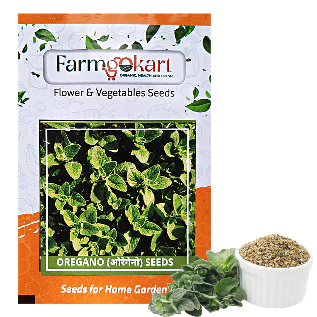 OREGANO HERB -Farming Seeds – Farmgokart
