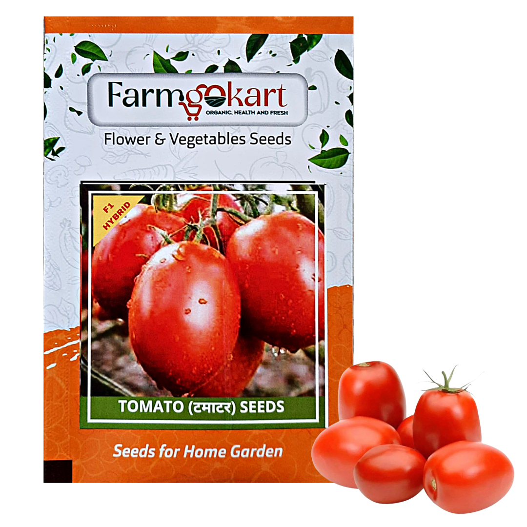 TOMATO (TAMATAR) OVAL SHAPED F1-HYBRID SEEDS - 5 Grams (Appx Seed Coun ...