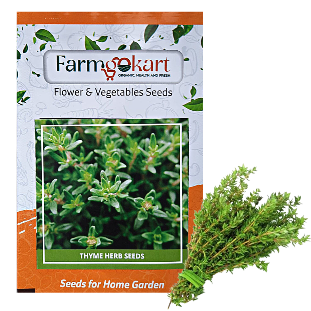 THYME - Pack of 200 Seeds – Farmgokart