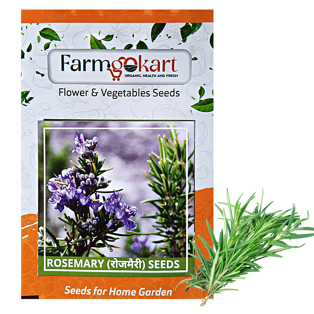 ROSEMARY - Pack of 20 Seeds – Farmgokart