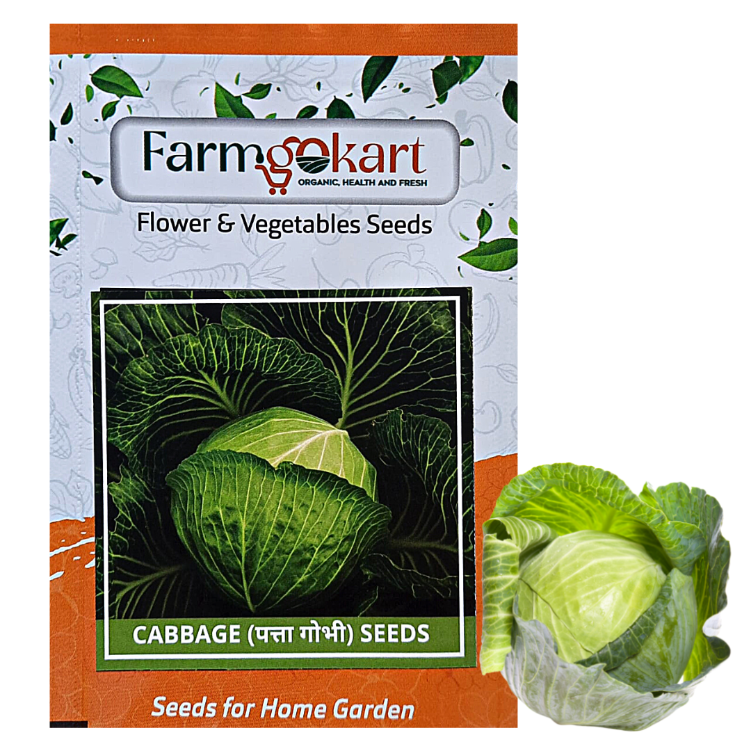 CABBAGE -Pack of 600 Seeds – Farmgokart
