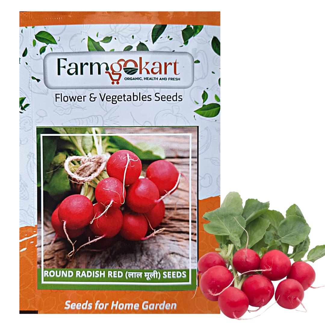 RED ROUND RADISH - Pack of 100 Seeds – Farmgokart