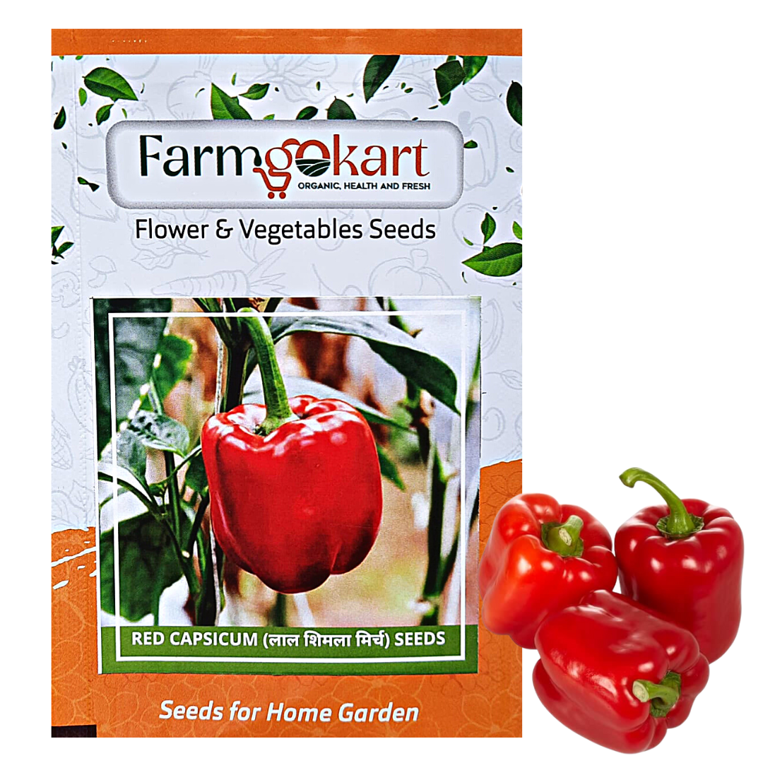RED CAPSICUM - Pack of 40 Seeds – Farmgokart