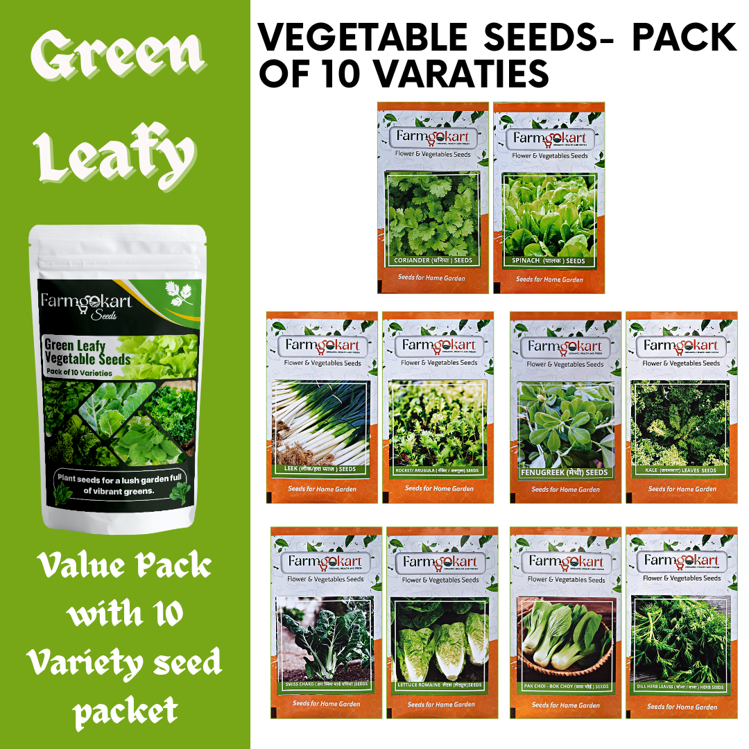 Pack of 10-variety Green Leafy Vegetable Seeds - for Home and Terrace ...