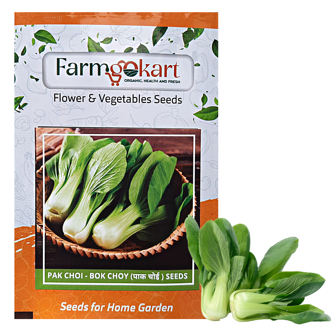 PAK CHOI, BOK CHOY - Pack of 200 Seeds – Farmgokart