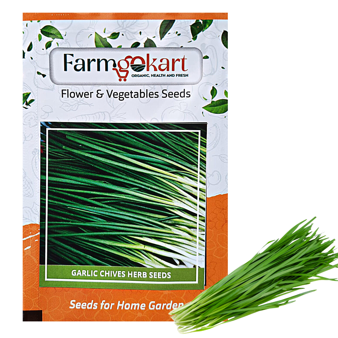 GARLIC CHIVES - Pack of 75 Seeds – Farmgokart