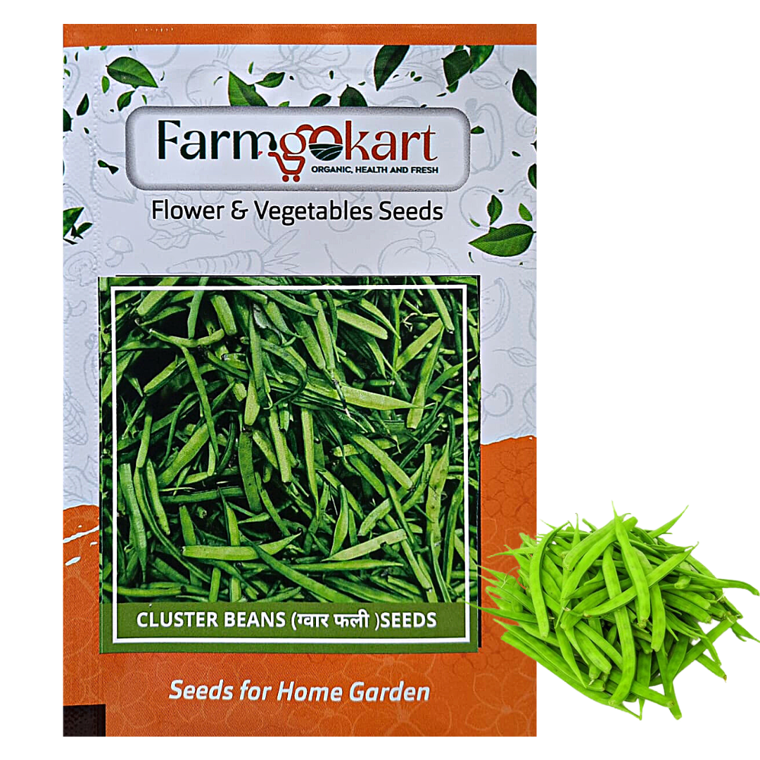 CLUSTER BEANS -Pack of 5 Gms Seeds – Farmgokart