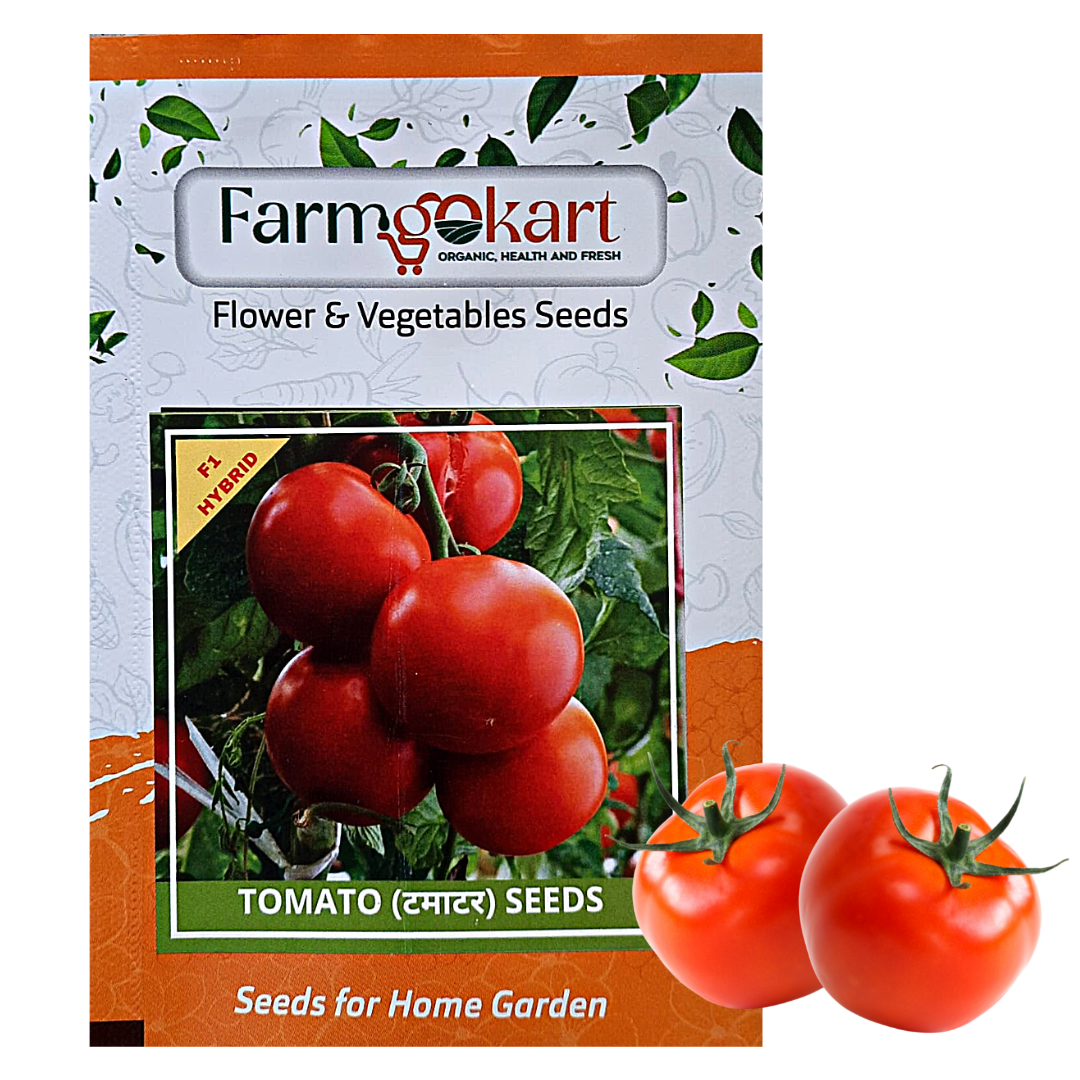 TOMATO (TAMATAR) F1-HYBRID SEEDS ROUND SHAPED - 5 Grams (Appx Seeds co ...