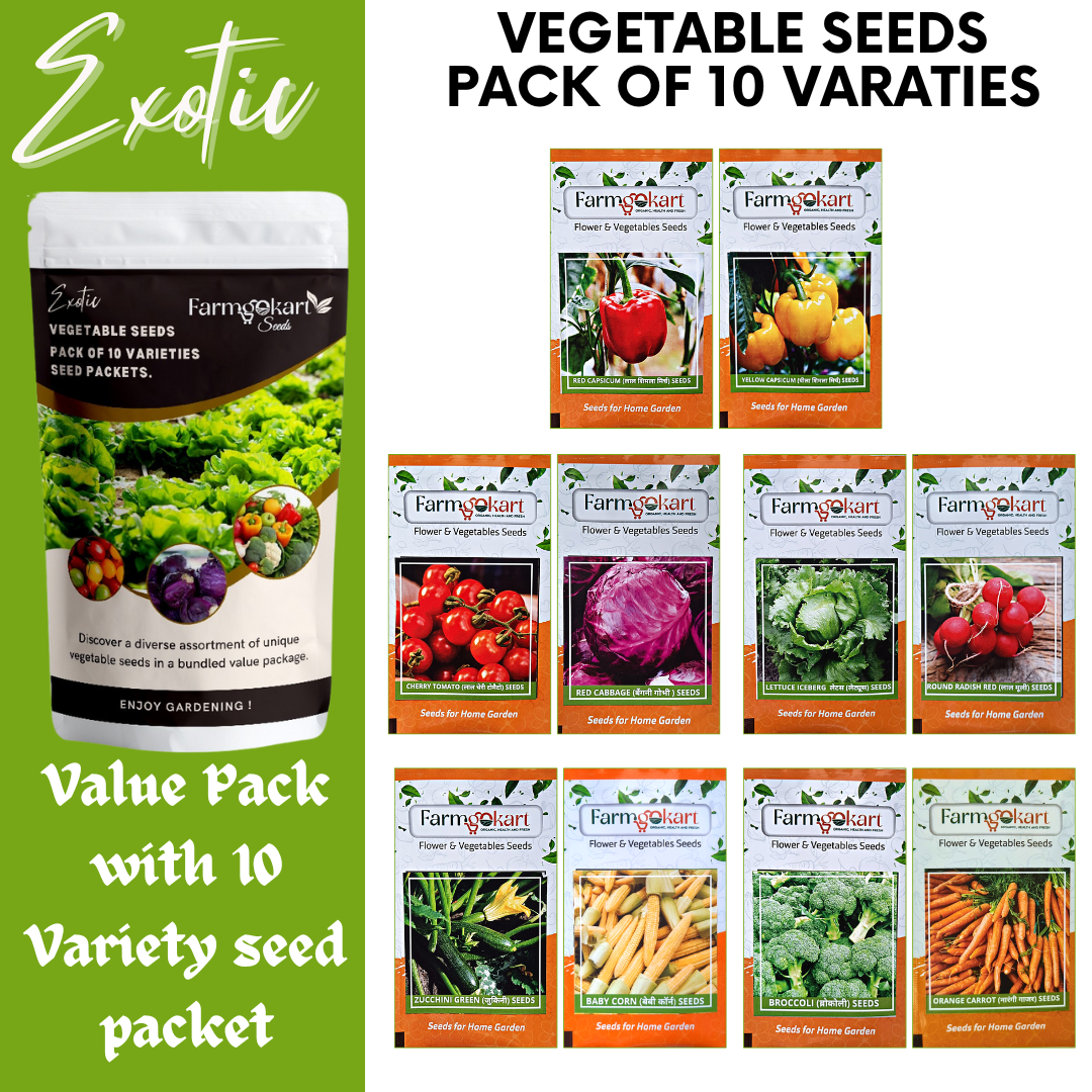 Pack 10-variety Exotic vegetable seeds combo for Home Gardening | Grow ...