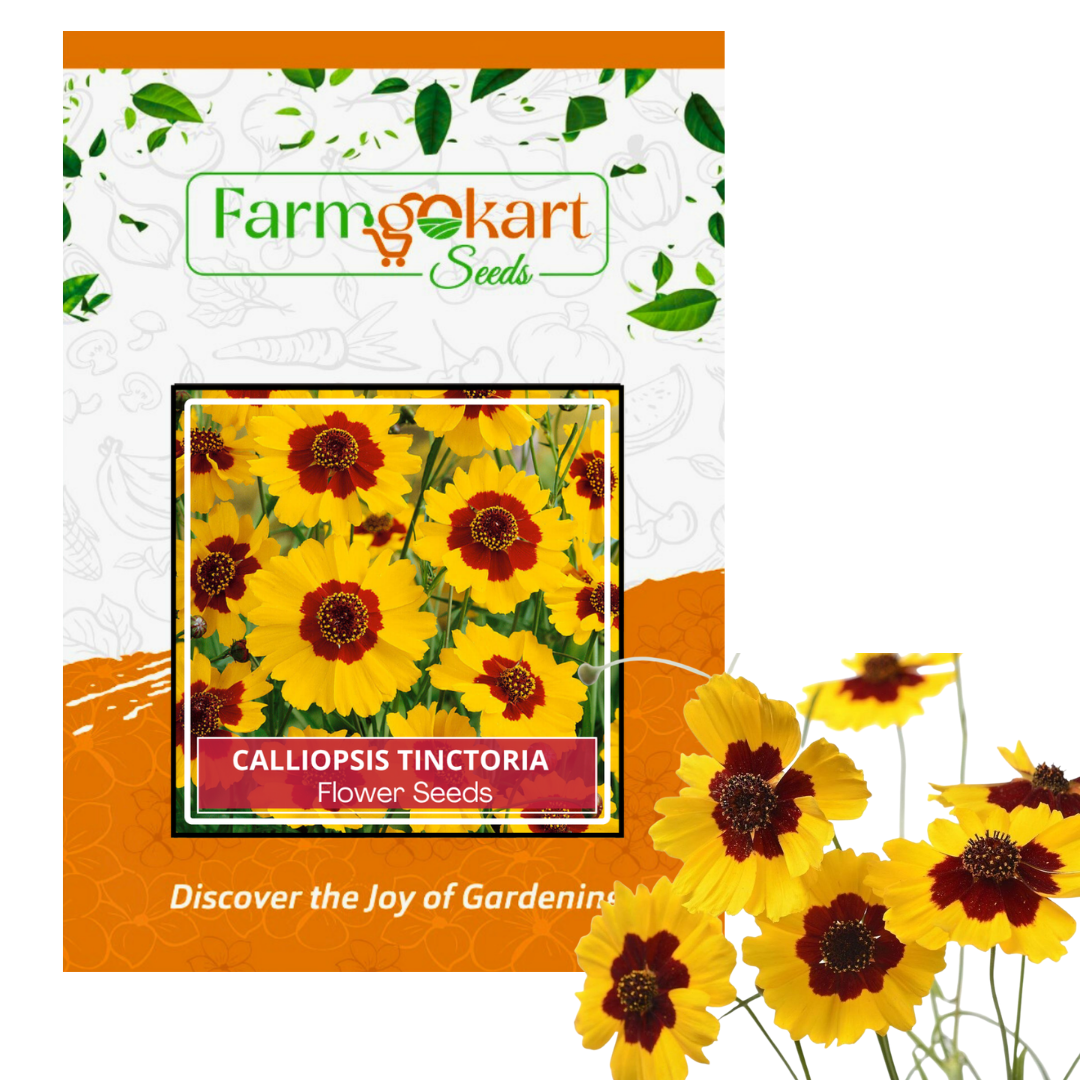 Calliopsis -Bicolor Tall Mixed (Tinctoria)- Pack of 300 Seeds – Farmgokart