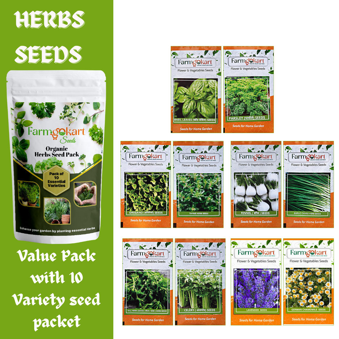 Pack of 10-variety Essentail Herbs Seeds combo pack for Home Gardening ...