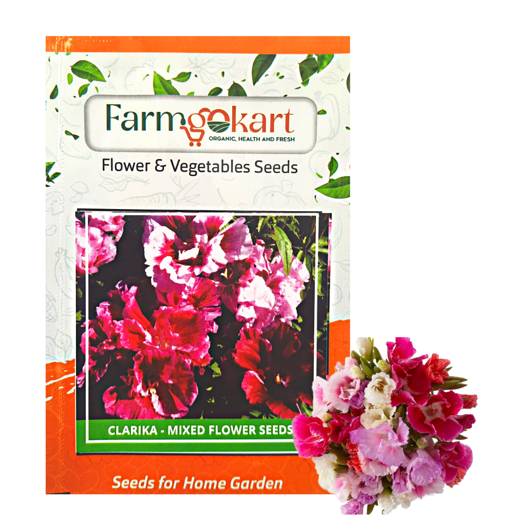 Clarkia - Double Grower Seeds Pack- 8500 Seeds – Farmgokart